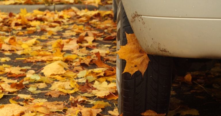 How can I Drive Safely in the Fall? | 800-547-4529